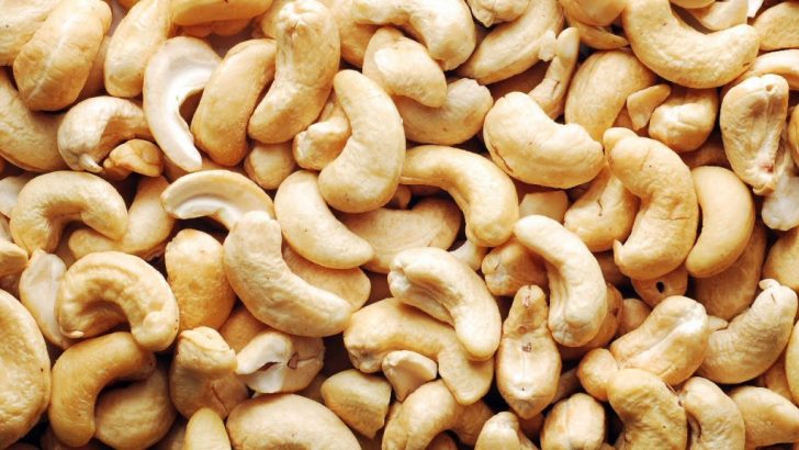 Castanha de Caju fruta: 35 benefícios, informação nutricional e ...