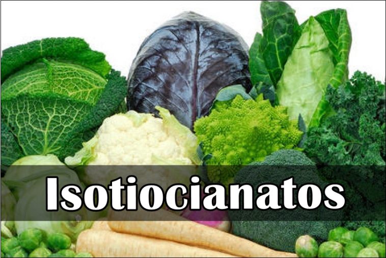 Isotiocianatos: O que é, funções, alimentos ricos, benefícios e ...