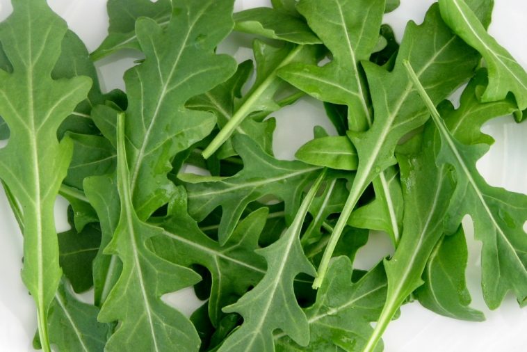 Rúcula: 40 benefícios, informação nutricional e malefícios | Dr. Saúde