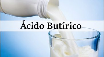 Ácido Butírico: o que é, para que serve e onde encontrar | Dr. Saúde