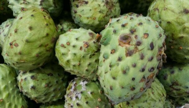 Atemoia fruta: 25 benefícios, informação nutricional e malefícios | Dr ...