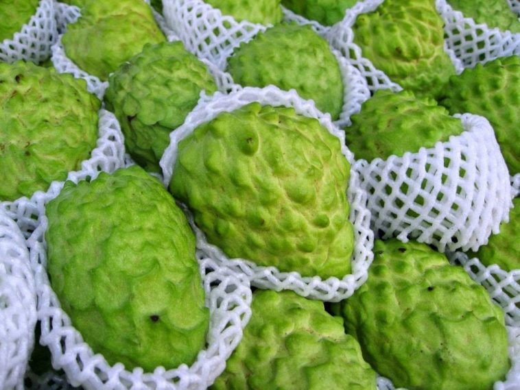 Atemoia fruta: 25 benefícios, informação nutricional e malefícios | Dr ...