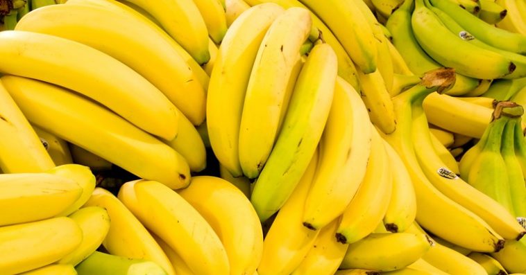 Banana fruta: 40 benefícios, informação nutricional e malefícios | Dr ...