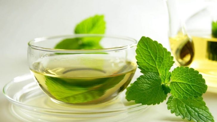 Chá de Tulsi serve para quê? Veja benefícios e como fazer | Dr. Saúde