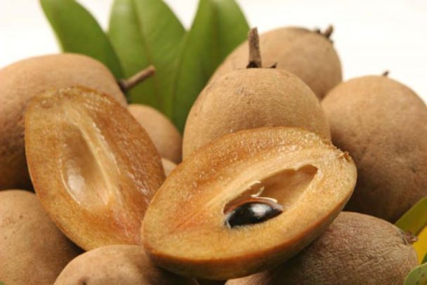 Sapoti fruta: 32 benefícios, informação nutricional e malefícios | Dr ...