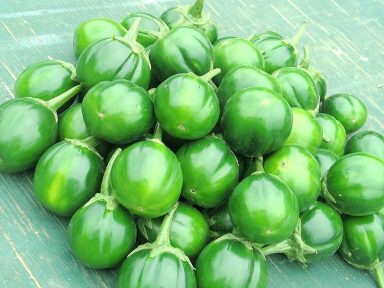 Jiló fruta: 25 benefícios, informação nutricional e malefícios | Dr. Saúde