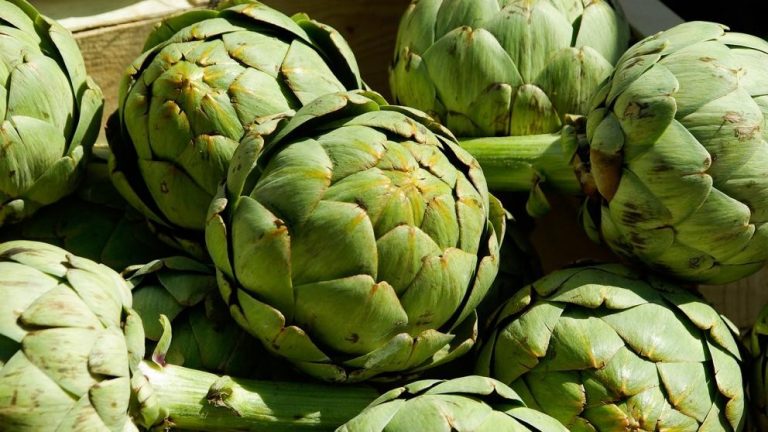 Alcachofra: 40 benefícios, tipos, informação nutricional e malefícios ...