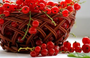 Groselha fruta: 25 benefícios, informação nutricional e malefícios | Dr ...