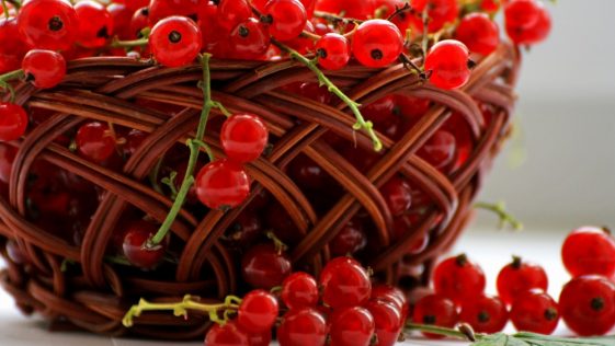 32 Benefícios da Groselha Vermelha – Para que Serve e Características ...