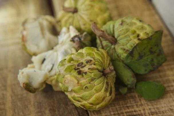 Pinha fruta: 30 benefícios, informação nutricional e malefícios | Dr. Saúde