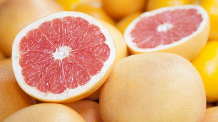 Toranja fruta: 40 benefícios, informação nutricional e malefícios | Dr ...