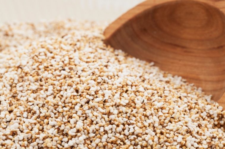 Amaranto: 30 benefícios, informação nutricional e malefícios | Dr. Saúde