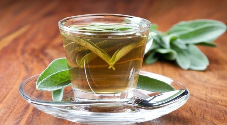 Chá de Louro serve para quê? Veja benefícios e como fazer | Dr. Saúde