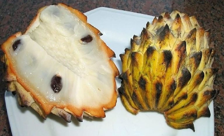 Biribá fruta: 30 benefícios, informação nutricional e malefícios | Dr ...