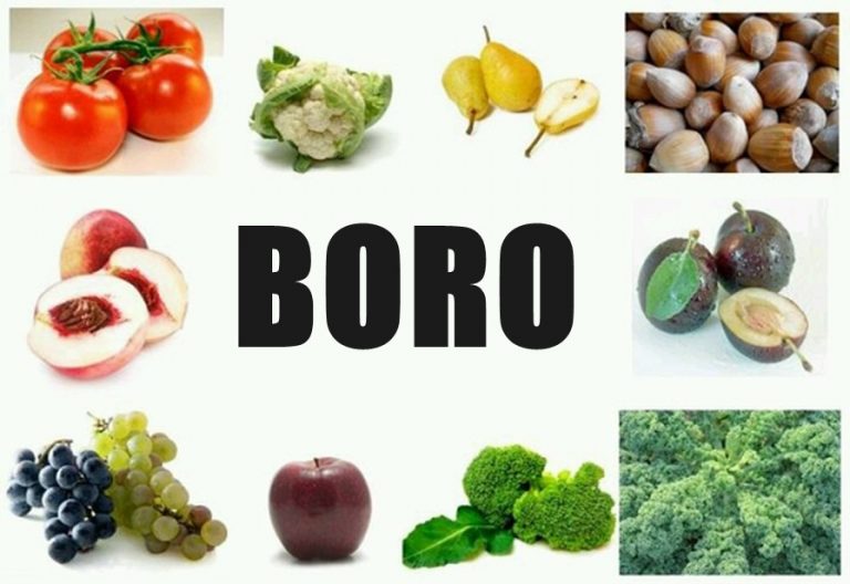 Boro: para que serve, alimentos, deficiência e como usar | Dr. Saúde
