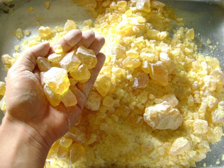 Breu: 20 benefícios, informação nutricional e malefícios | Dr. Saúde