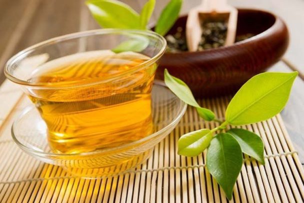 Chá de Carqueja serve para quê? Veja benefícios e como fazer | Dr. Saúde