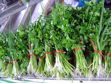 Cheiro Verde: benefícios, informação nutricional e malefícios | Dr. Saúde