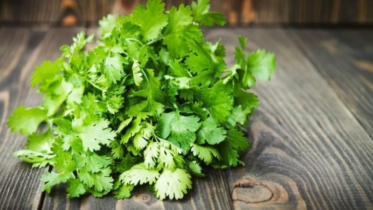 Cheiro Verde: benefícios, informação nutricional e malefícios | Dr. Saúde