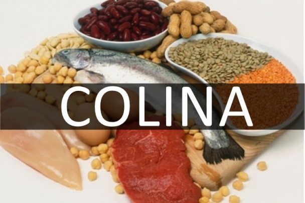 Colina: para que serve, alimentos, deficiência e como usar| Dr. Saúde