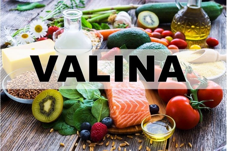 Valina: o que é, para que serve, alimentos e por que usar | Dr. Saúde