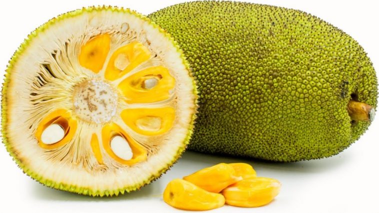 Jaca fruta: 40 benefícios, informação nutricional e malefícios | Dr. Saúde