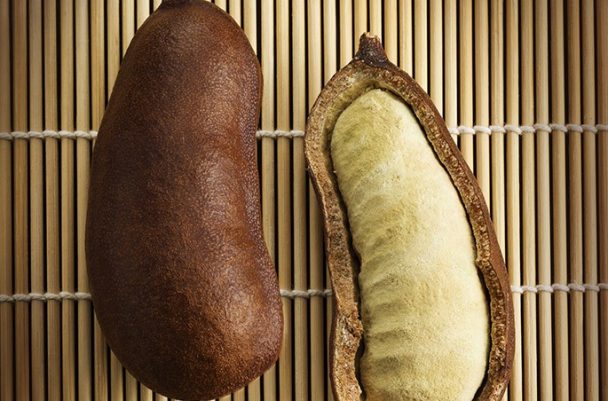 Jatobá fruta: 30 benefícios, informação nutricional e malefícios | Dr ...