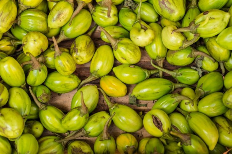 Jiló fruta: 25 benefícios, informação nutricional e malefícios | Dr. Saúde