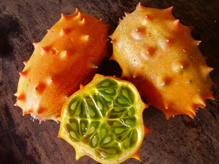 Kino fruta: 25 benefícios, informação nutricional e malefícios | Dr. Saúde