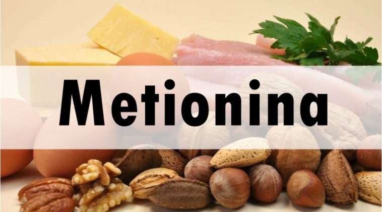 Metionina: o que é, para que serve, funções e onde encontrar | Dr. Saúde