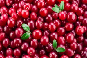 Oxicoco fruta: 35 benefícios, tipos, informação nutricional e ...