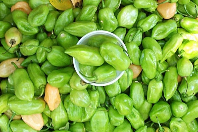 Pimenta de Cheiro: 25 benefícios, informação nutricional e malefícios ...