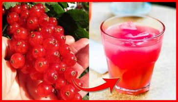 Suco de Groselha é bom para quê? como fazer e para que serve | Dr. Saúde