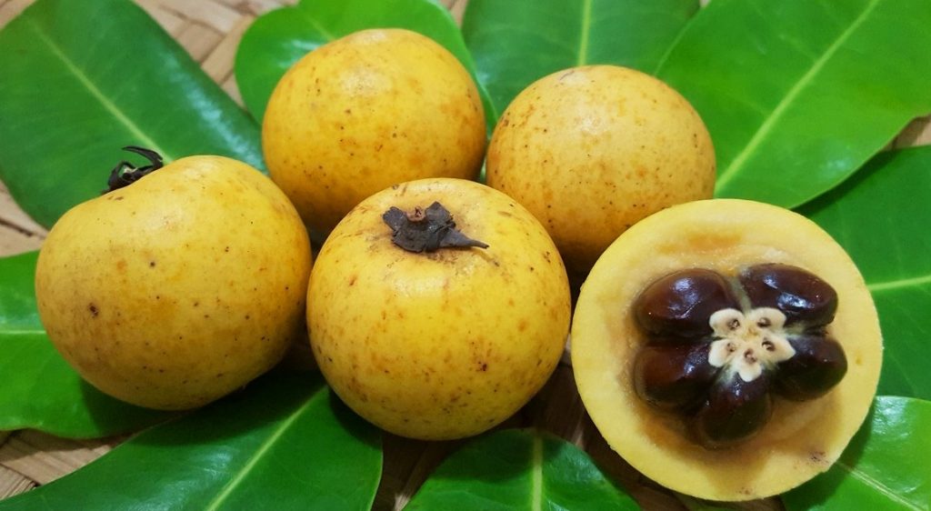 Abricó da Praia fruta: 10 benefícios, informação nutricional e ...