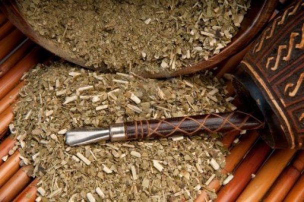 Erva Mate é bom para quê? para que serve, benefícios e malefícios | Dr ...