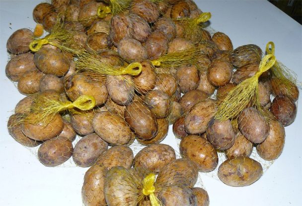 Uxi fruta: 30 benefícios, informação nutricional e malefícios | Dr. Saúde