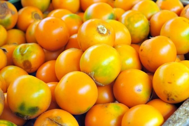 Suco de Lulo é bom para quê? como fazer e para que serve | Dr. Saúde