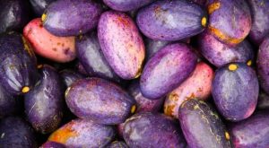 Safou Fruta: 12 benefícios, informação nutricional e malefícios | Dr. Saúde