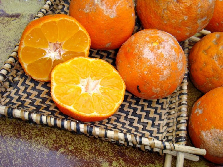 Limão Bravo fruta: 15 benefícios, informação nutricional e malefícios ...