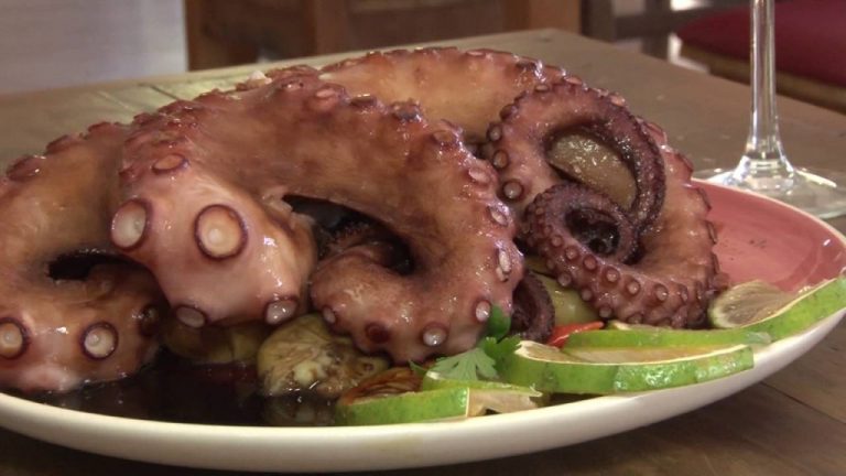 Polvo: 15 benefícios, informação nutricional e malefícios | Dr. Saúde