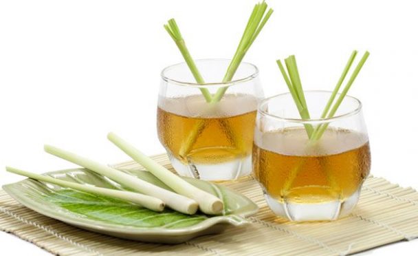 Capim Limão é bom para quê? para que serve, benefícios e malefícios ...