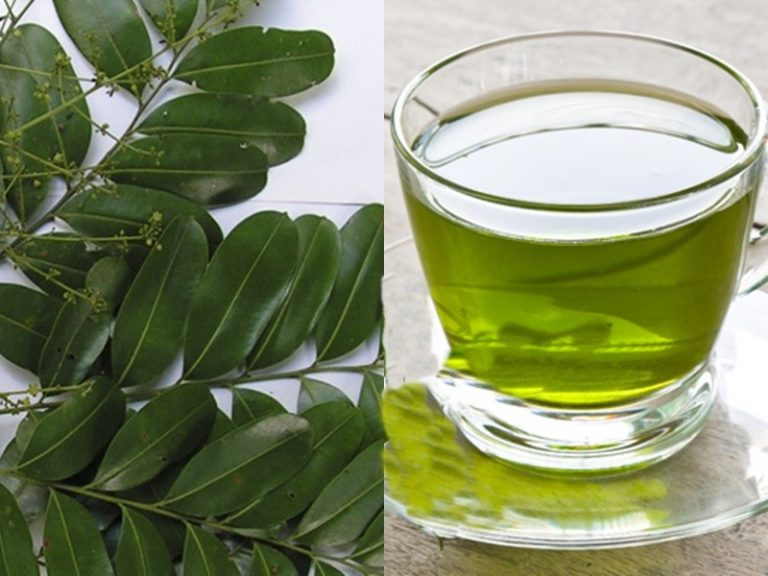 Chá de Marupá é bom para quê? para que serve, benefícios e malefícios ...