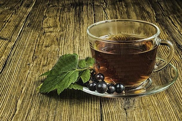 Chá de Groselha Negra é bom para quê? para que serve, benefícios e ...