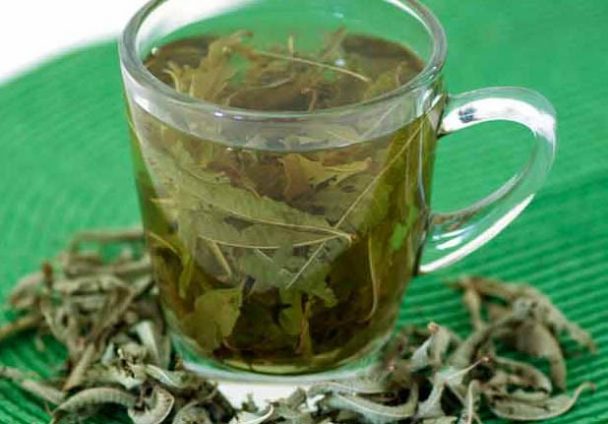 Chá de Limonete é bom para quê? para que serve, benefícios e malefícios ...