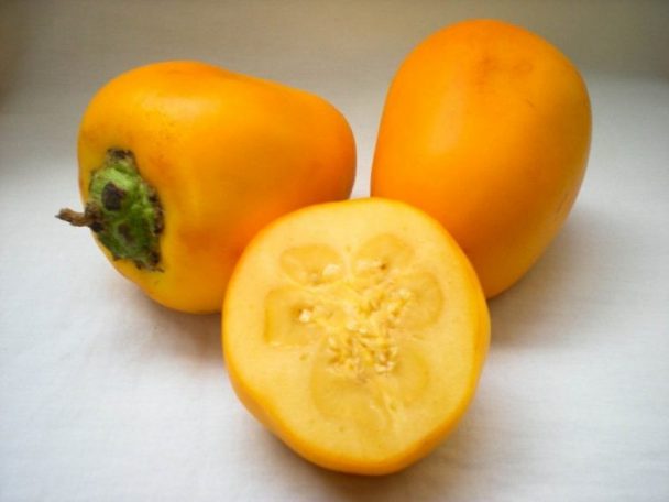 Cocona fruta: 10 Benefícios, Informação nutricional e malefícios | Dr ...