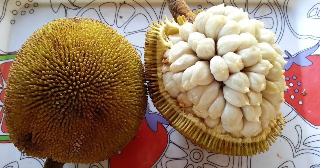 Marang fruta: 15 benefícios, informação nutricional e malefícios | Dr ...