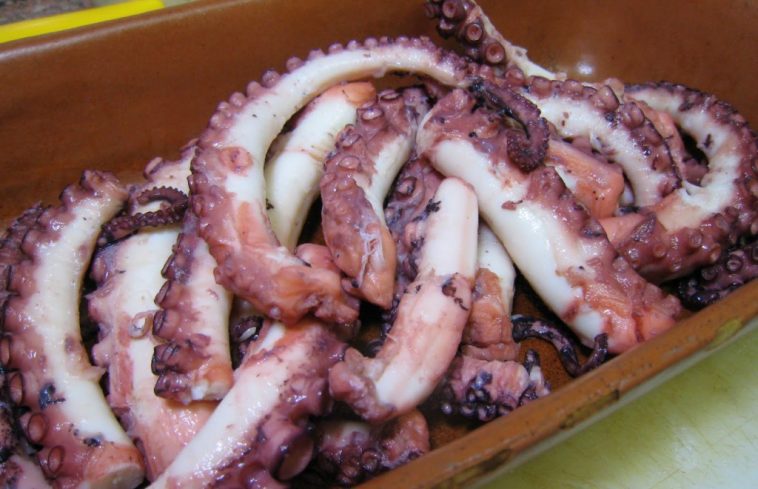 Polvo: 15 benefícios, informação nutricional e malefícios | Dr. Saúde