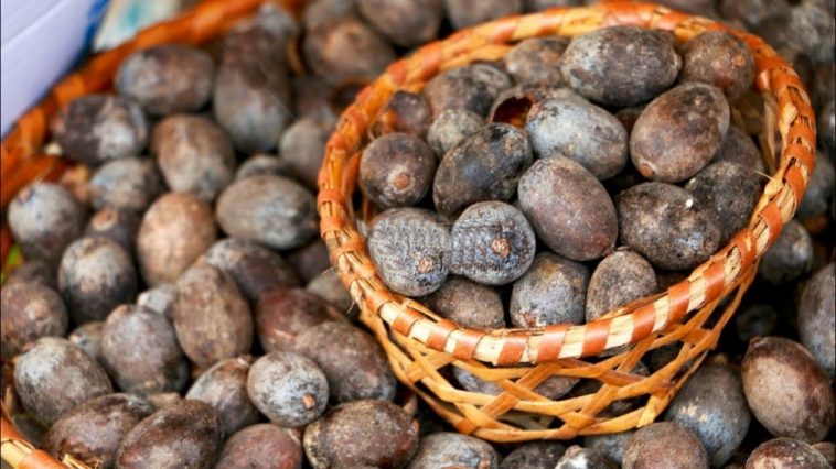 Uxi fruta: 30 benefícios, informação nutricional e malefícios | Dr. Saúde