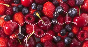 Antocianinas: O que são, funções, alimentos ricos, benefícios e usos ...